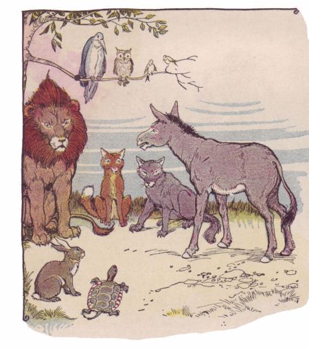 The Animals & the Plague